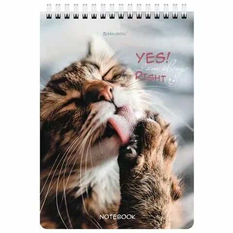 Блокнот А5 80л, (146х206 мм) гребень, картон, клетка