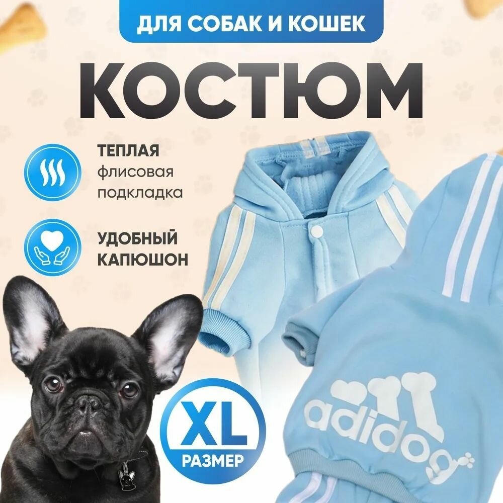 Adidog, Комбинезон для домашних животных, Одежда для собак, Спортивная куртка для собак, Костюм кошки(XL, голубой)