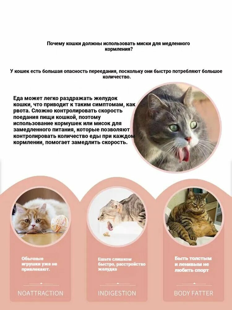 Кормушка-головоломка — фото 1