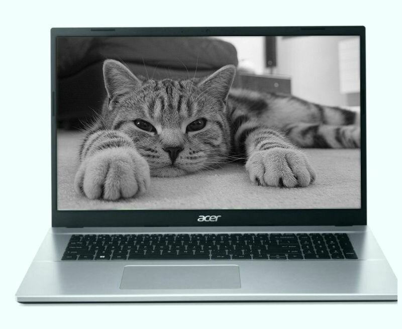 Ноутбук Acer Intel Core i3 4,4ГГц 6 ядер. 17,3' 1920x1080 Intel HD Graphics Windows 11 Pro Русская раскладка