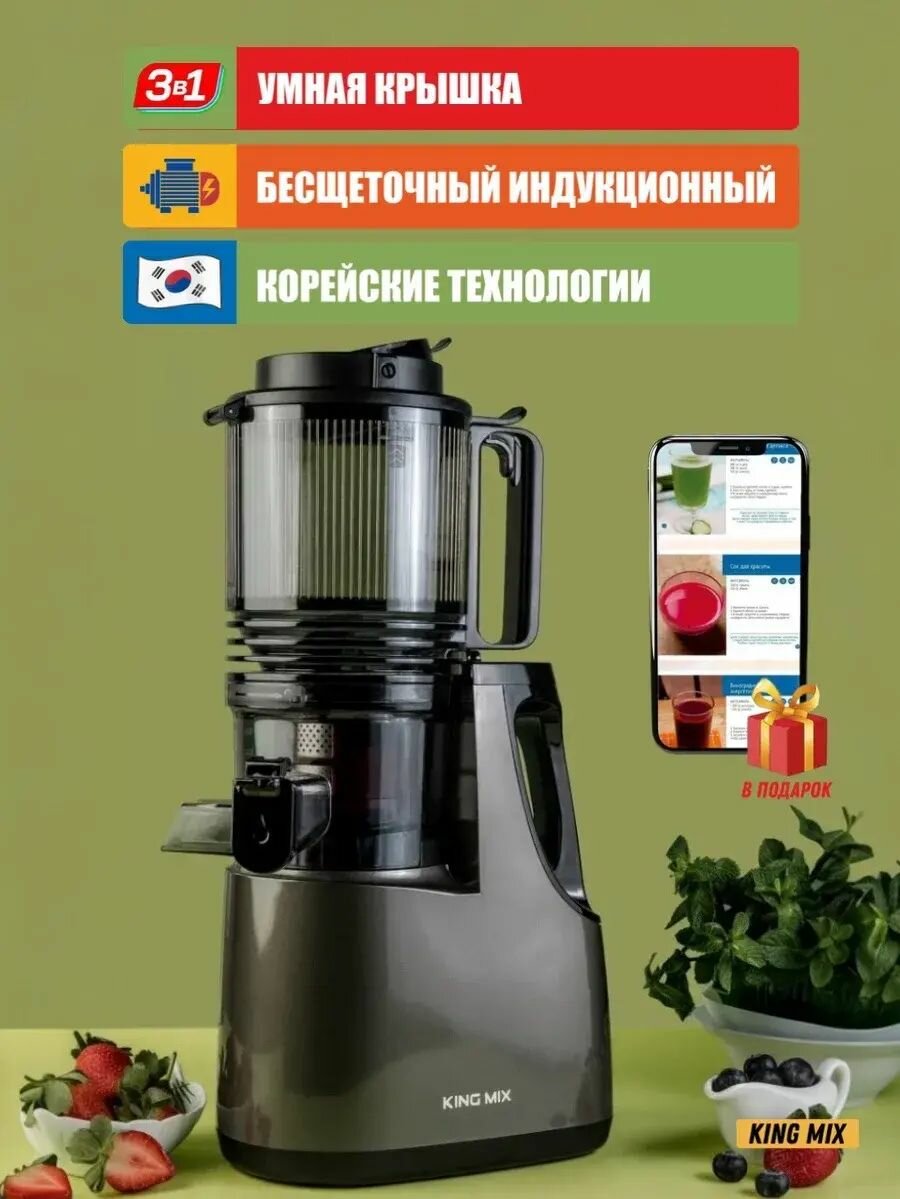 Соковыжималка King Mix B-300