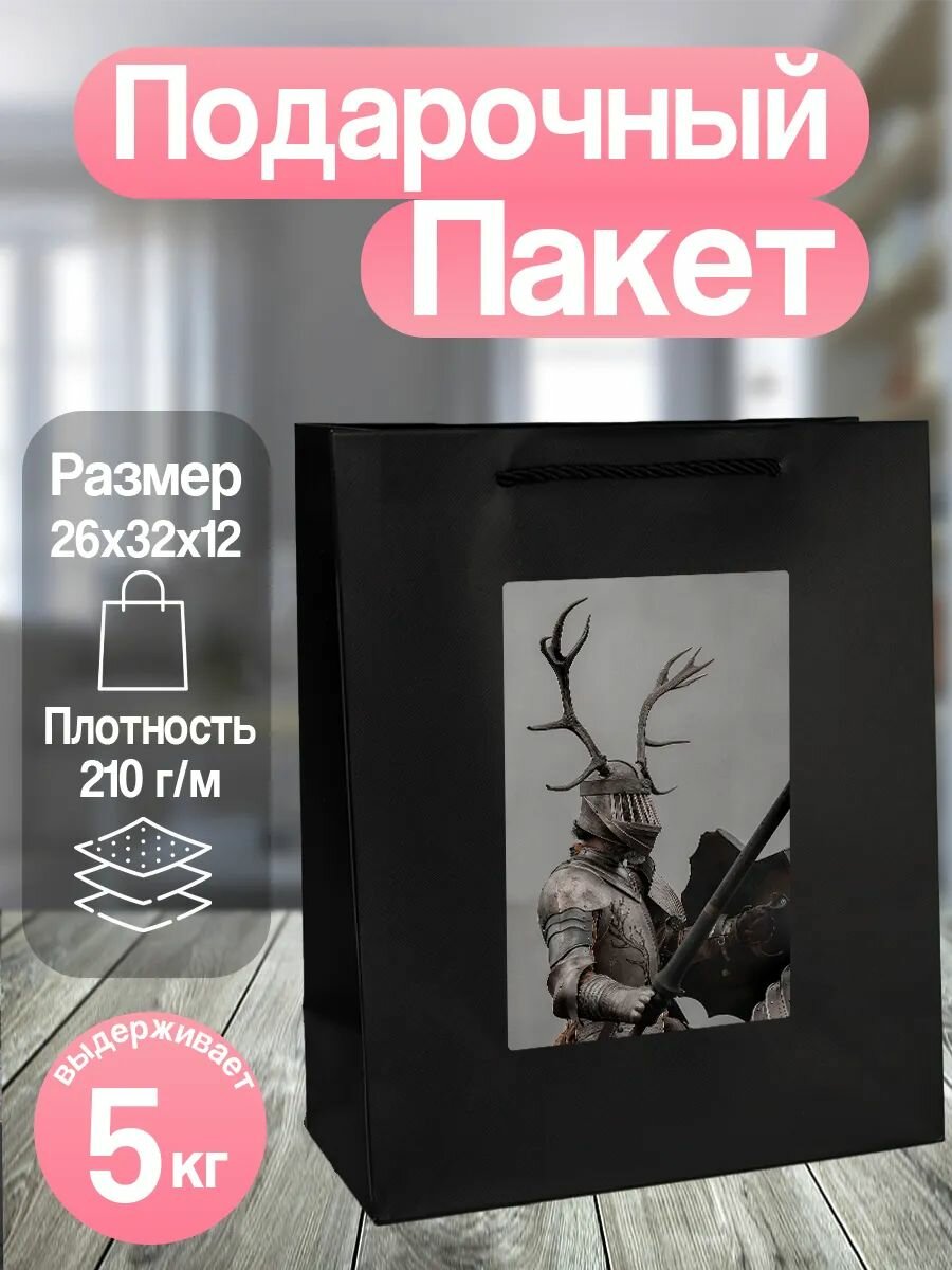 Пакет подарочный Рыцарь семи королевств, упаковка для подарка, 26х31 см