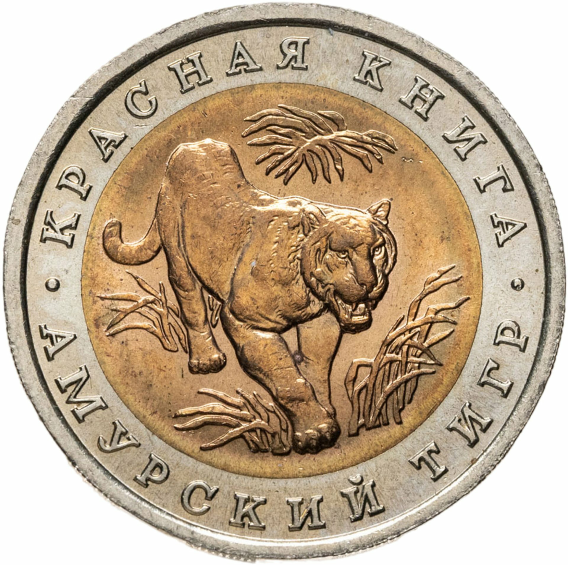 10 рублей 1992 ЛМД амурский тигр, Биметалл, в сохранности AU