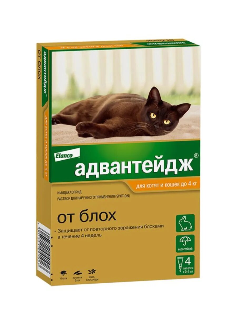 Адвантейдж капли на холку от блох для котят и кошек до 4 кг. 4 пипетки в упаковке