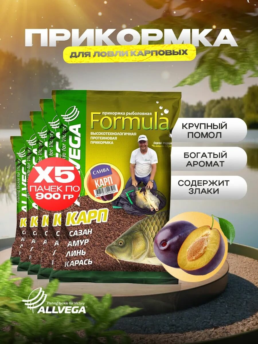 Прикормка для рыбалки Формула Карп сазан Слива 0,9кг набор из 5шт