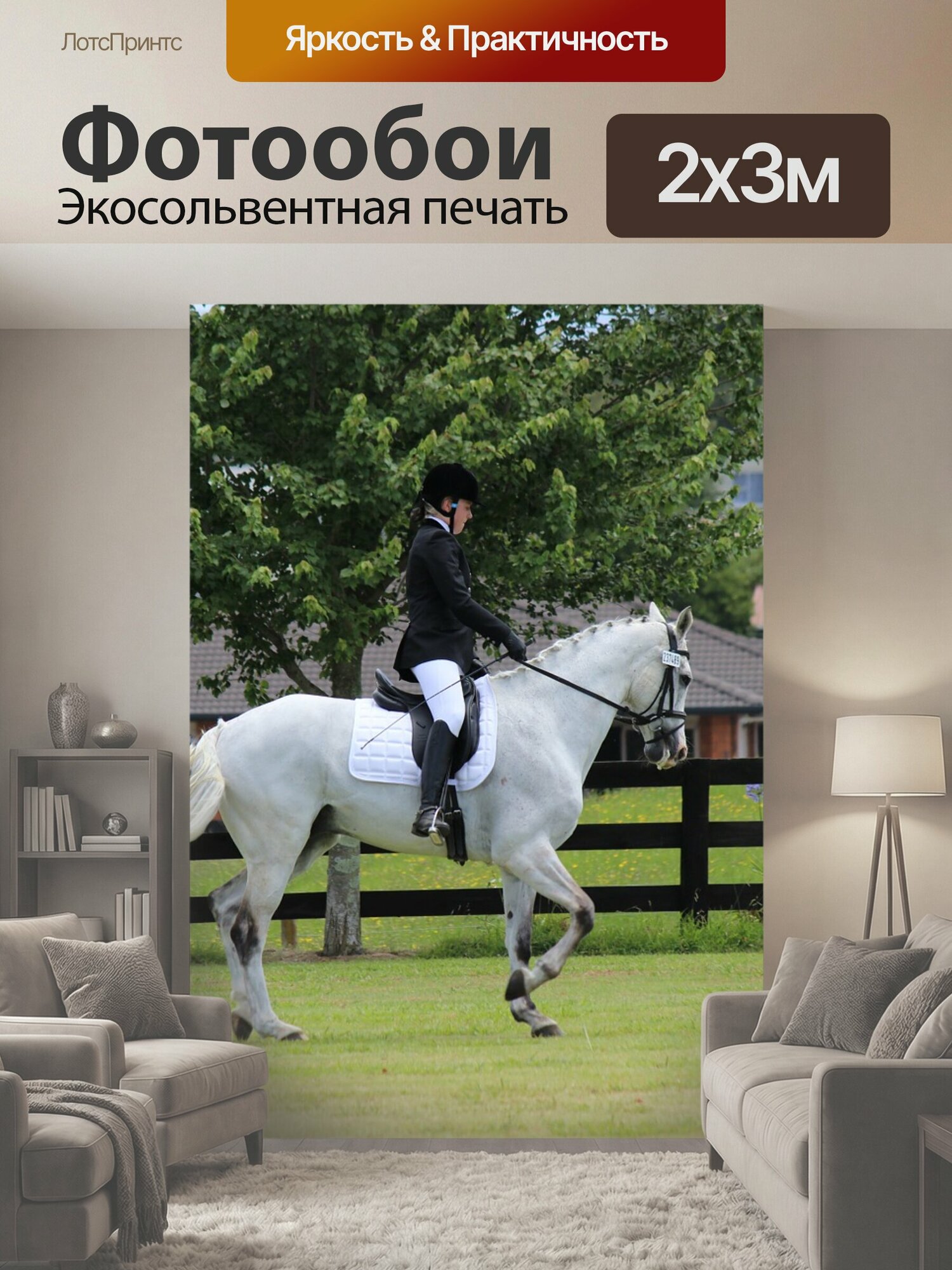 Фотообои "Лошадь, верховая езда, выездка" 200x300 см. экосольвентная печать