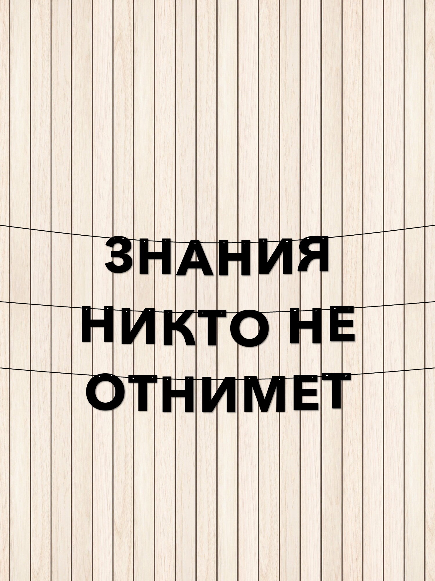 Гирлянда из букв для уютного декора: 'Знания никто не отнимет' - идеальное украшение для праздника и интерьера вашего дома