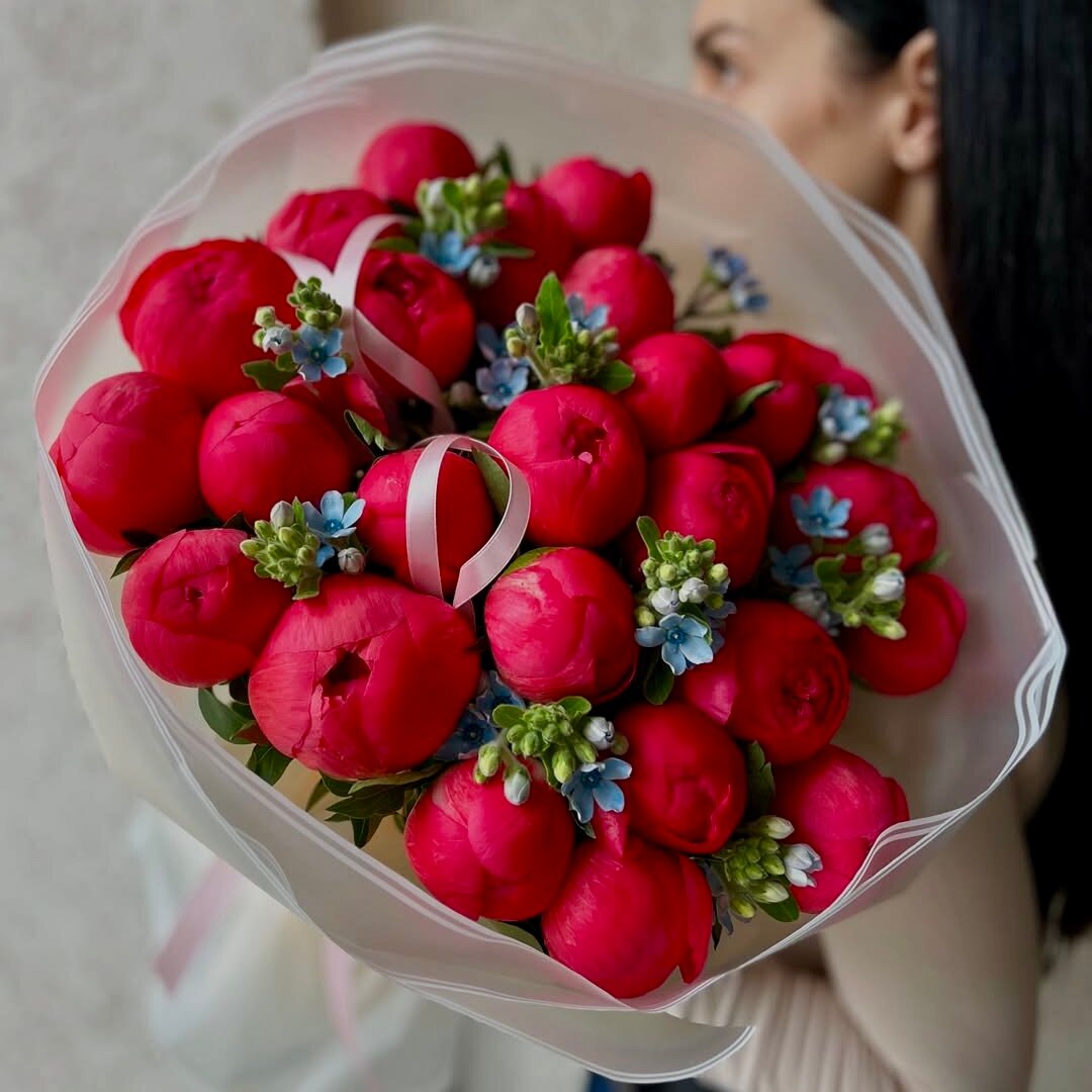 Букет из коралловых пионов 25 шт с незабудками, красивый букет цветов, шикарный, премиум цветы, премиум букет