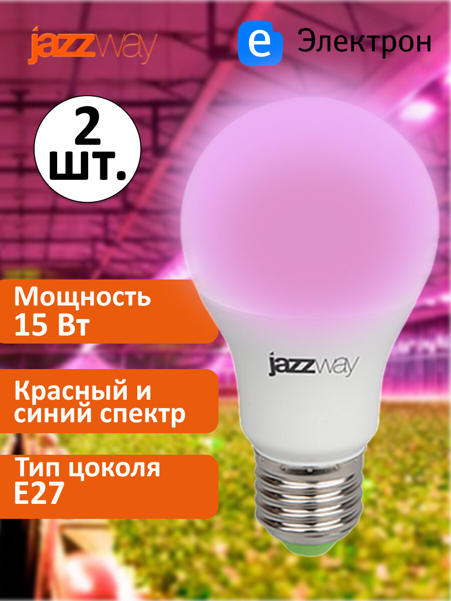 Фито лампа светодиодная для растений цветов и рассады Jazzway PPG Agro Frost 15Вт E27 шар .5025547 (комплект из 2 шт.)
