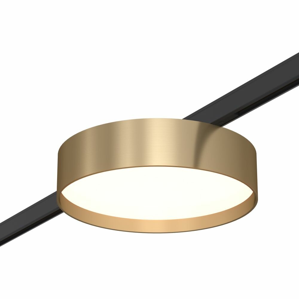 ST670.346.12 ST-Luce Магнитный трековый светильник Латунь LED 1*12W 4000K 500Lm Ra>80 100° IP20 D113xH34 24V.
