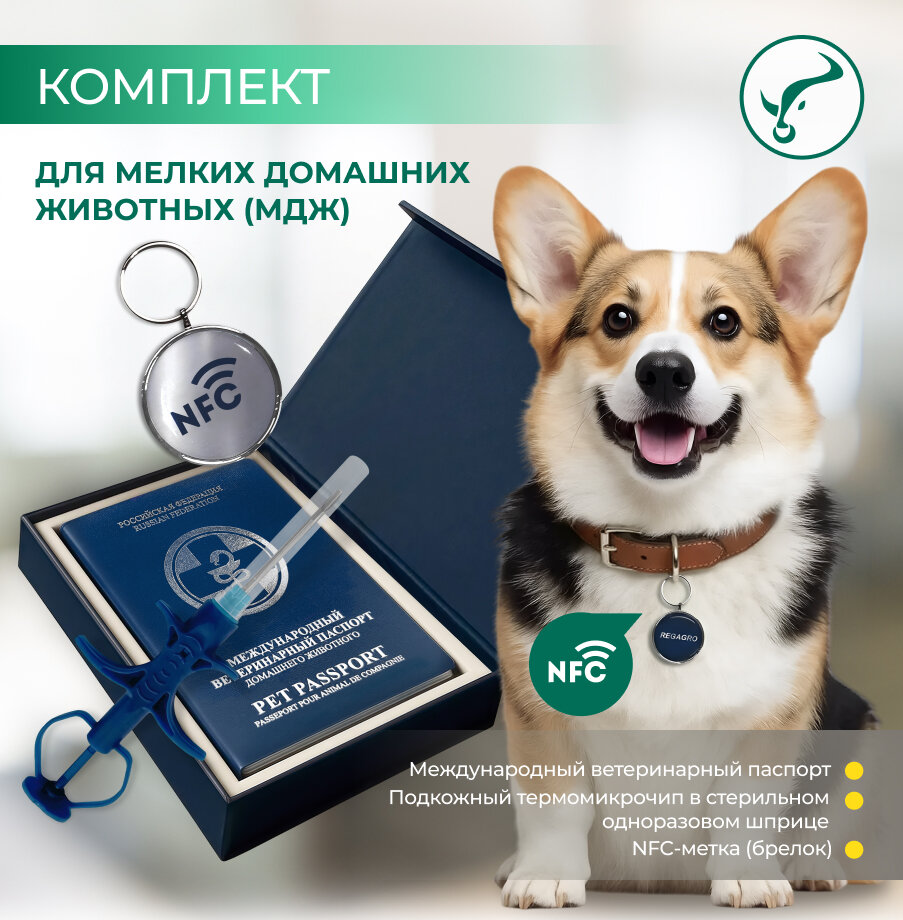 Цифровой паспорт питомца МДЖ, для собак и кошек, в премиальной упаковке