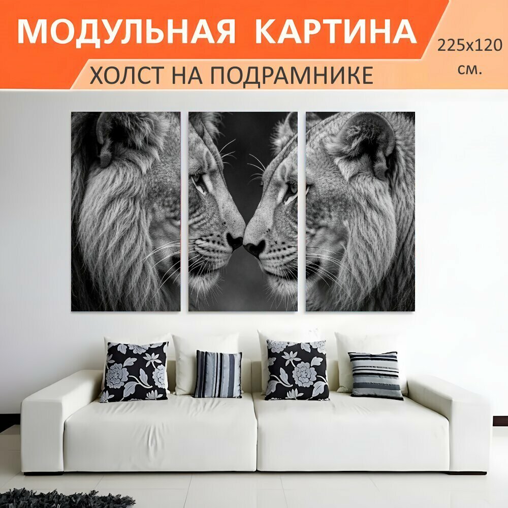 Модульная картина на холсте "Два льва в профиль. Черно-белая реалистичная сцена с двумя величественными хищниками, смотрящими друг на." триптих на подрамнике 225х120 см. для интерьера