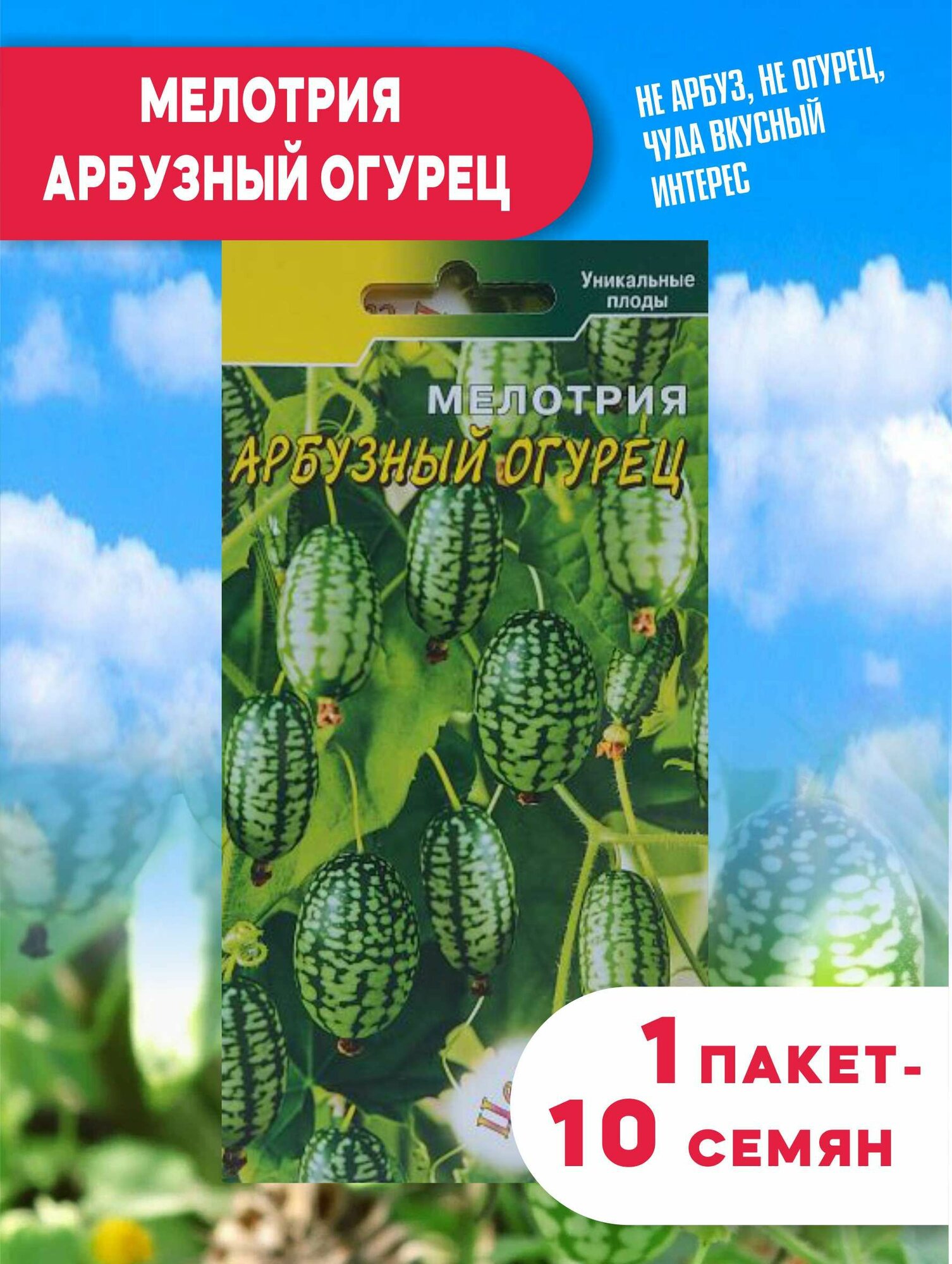 Арбузный огурец Мелотрия, Семена, 10 шт