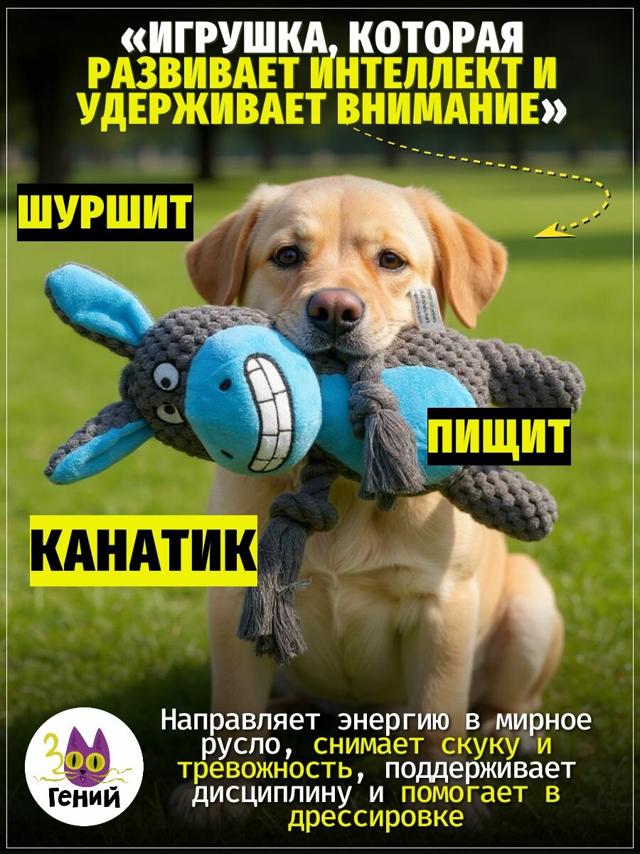 Игрушка для щенков с пищалкой и канатами Ослик, мягкая развивающая игрушка для жевания и перетягивания, антистресс для мелких и средних пород