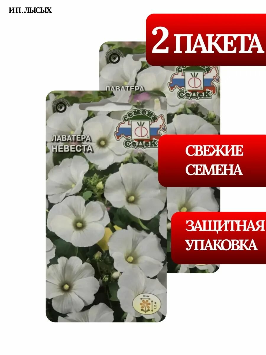 Семена Лаватера "Невеста"
