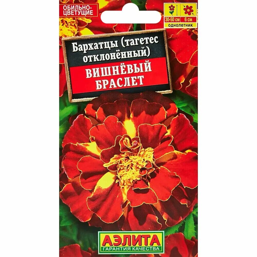 Семена Бархатцы Вишневый браслет (0,3 г), Агрофирма Аэлита, высота 30-50 см. — фото 1