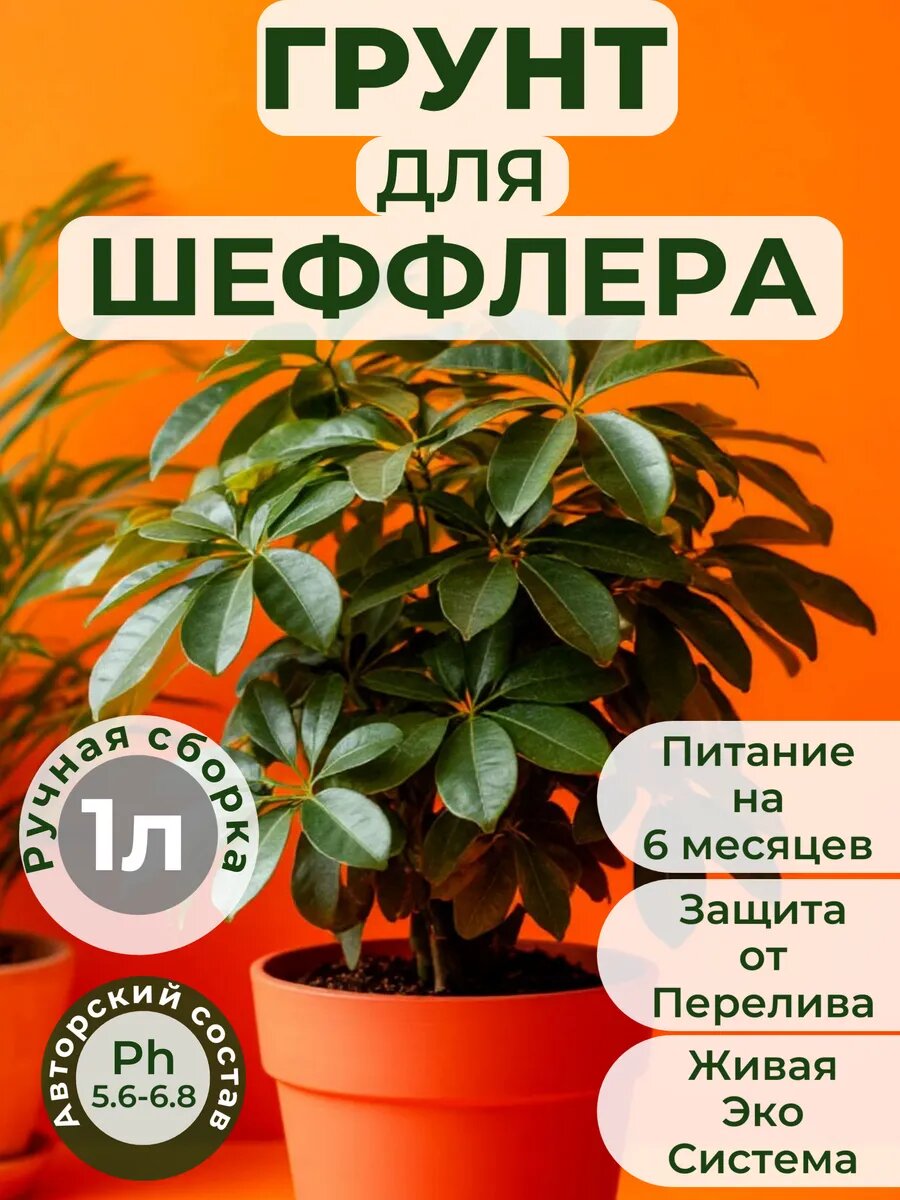 Готовый авторский грунт для Шеффлера, премиум 1 литр