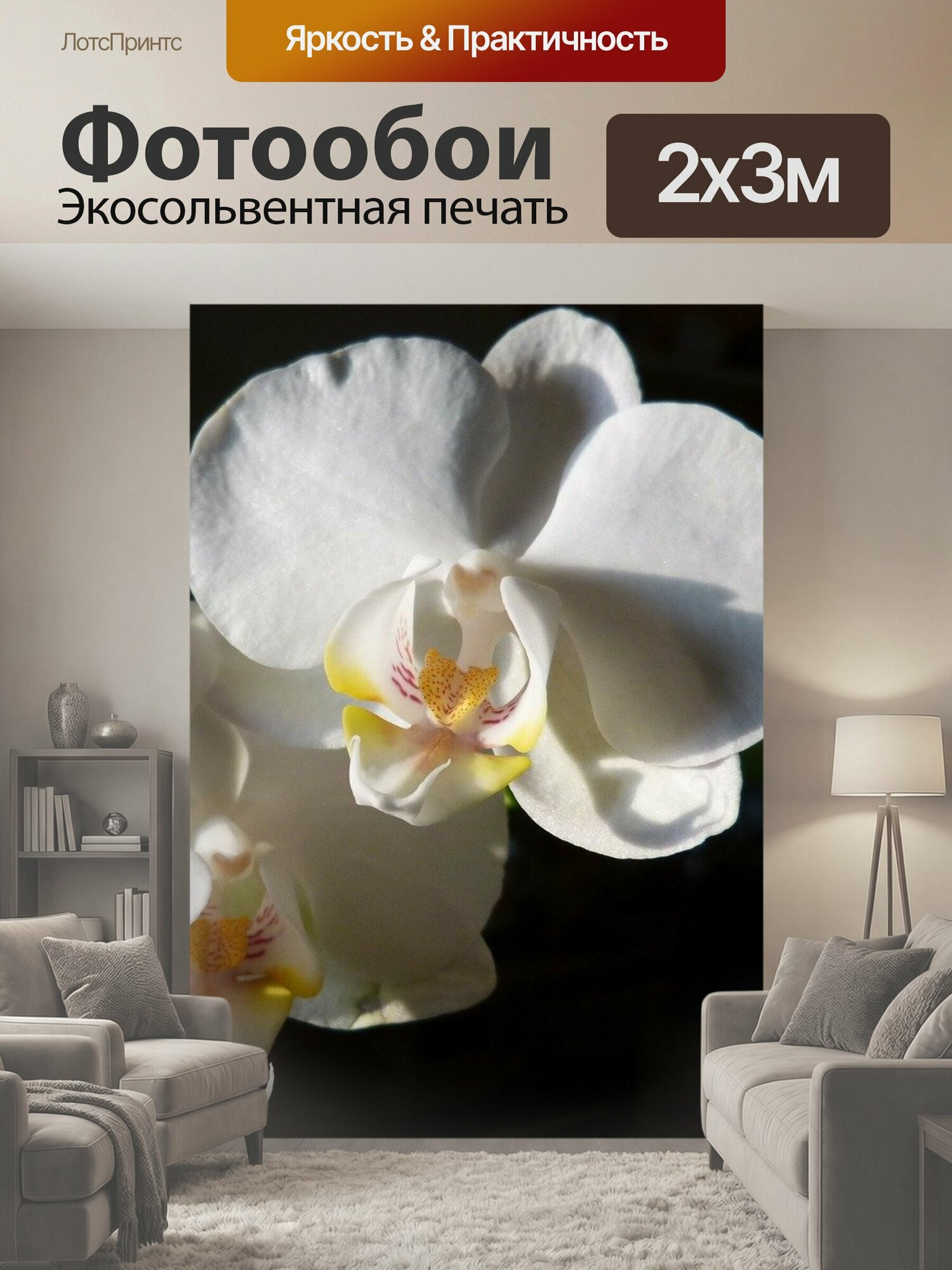 Фотообои "Орхидея, фаленопсис, цвести" 200x300 см. экосольвентная печать