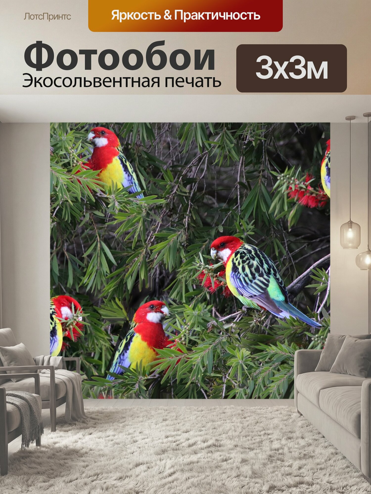Фотообои "Птицы, восточная розелла, попугаи" 300x300 см. экосольвентная печать