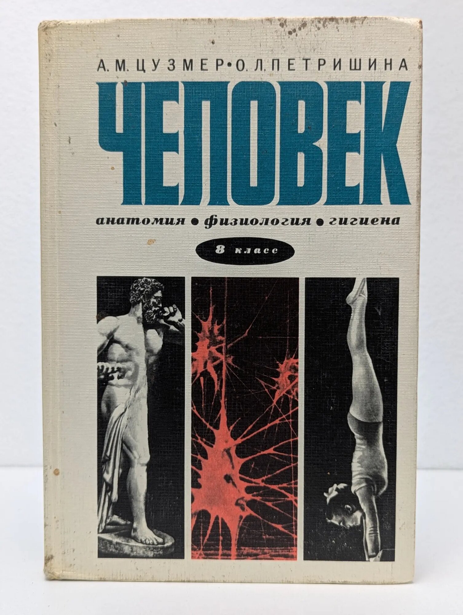 Человек. Анатомия, физиология и гигиена. 8 класс Цузмер Анна Моисеевна, Петришина Оксана Леонтьевна 1976