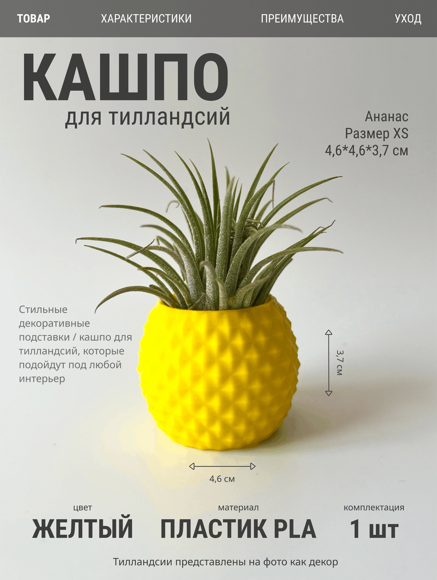 Подставка для тилландсий "Ананас", XS