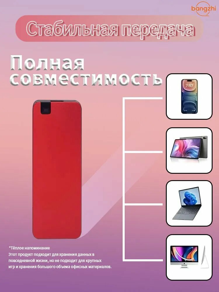 Bangzhi 1 ТБ Внешний SSD-диск (25DSSD-1TB), USB 3.1, USB Type-C, чтение - 30 Мб/с, запись - 50 Мб/с, Металл, красный