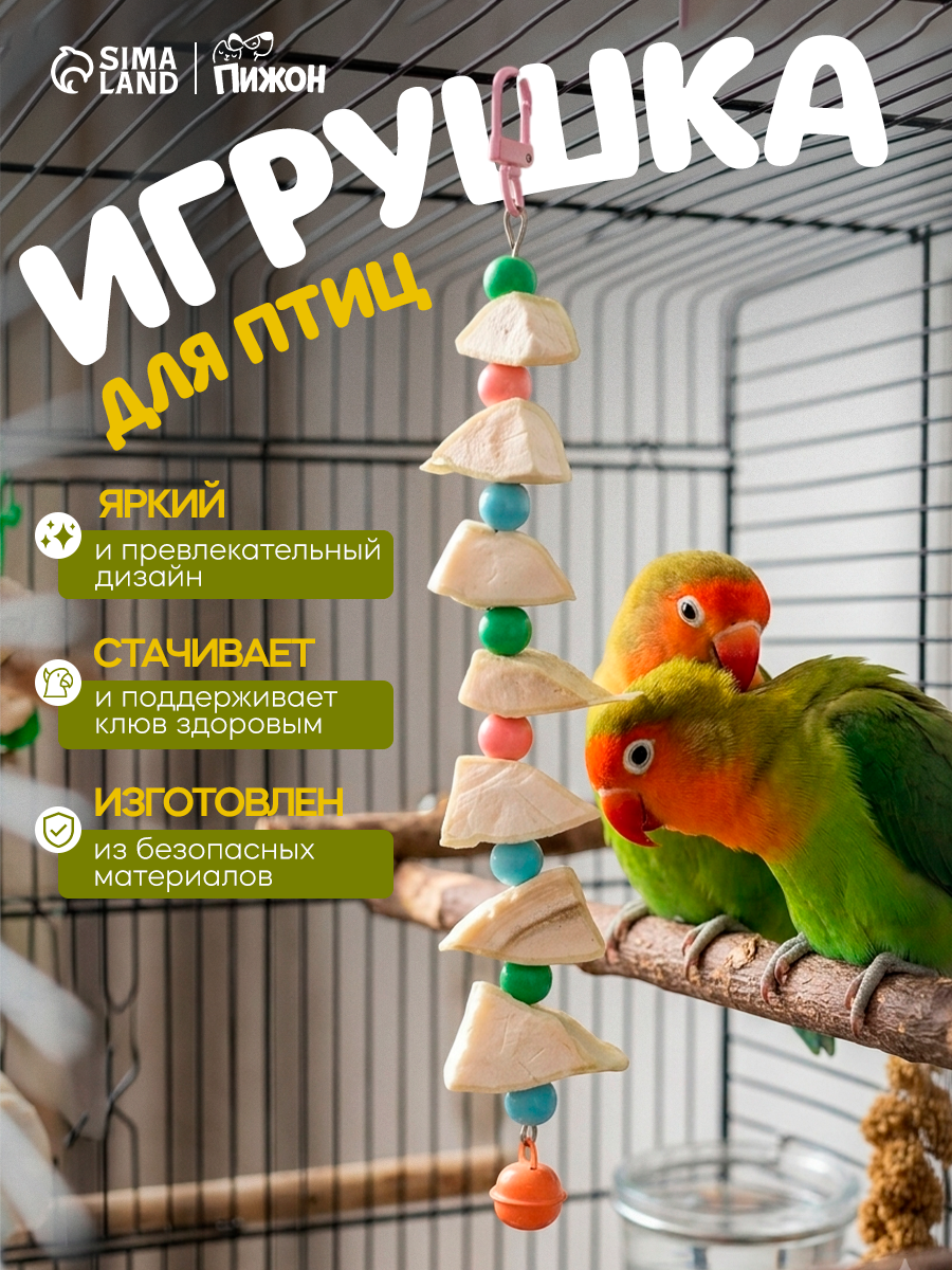 Игрушка для птиц с панцирем каракатицы и бусами, 15 х 3 см, микс цветов