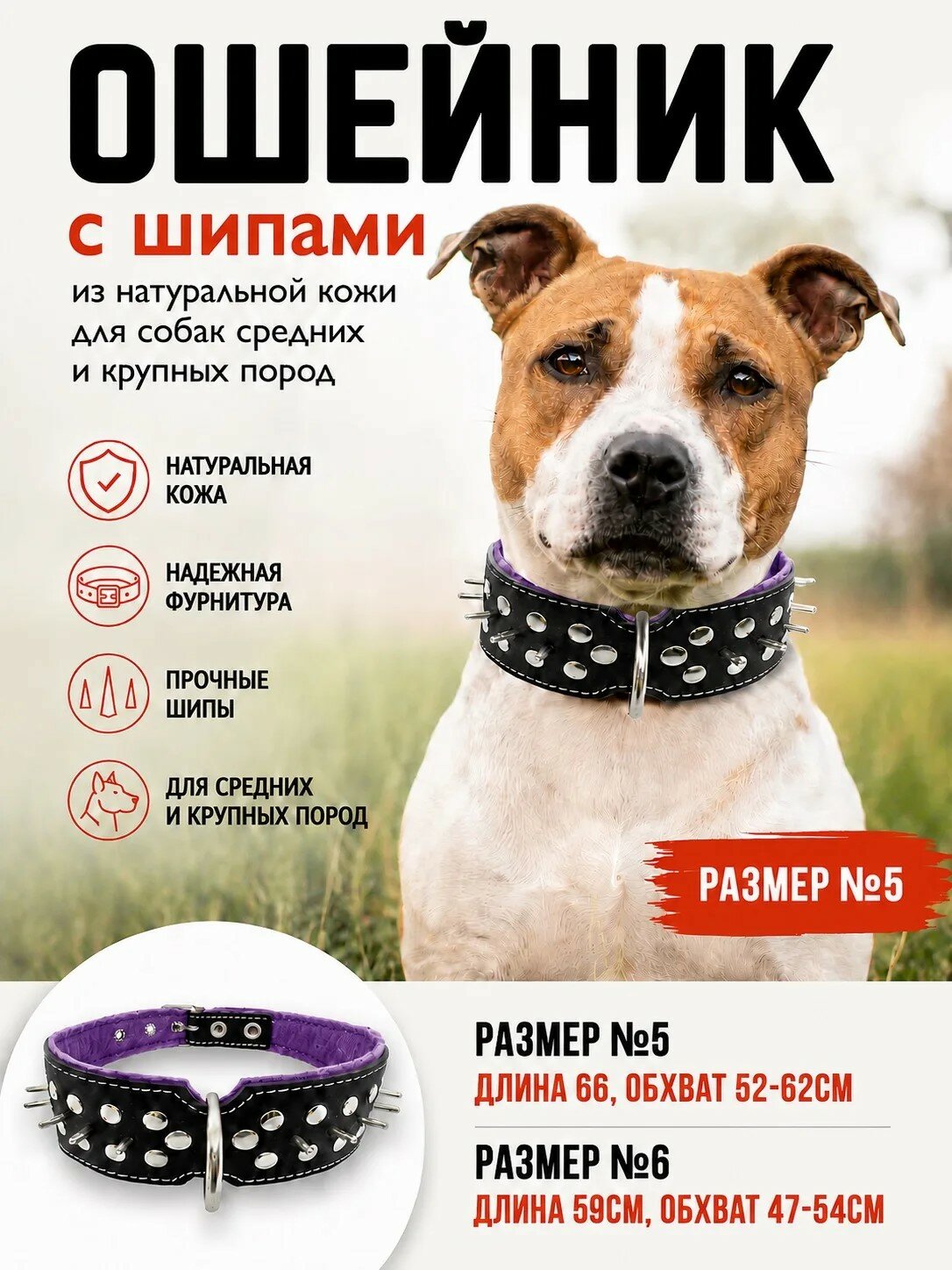 Ошейник Фигурный №5 с шипами кольцо по центру из натуральной кожи