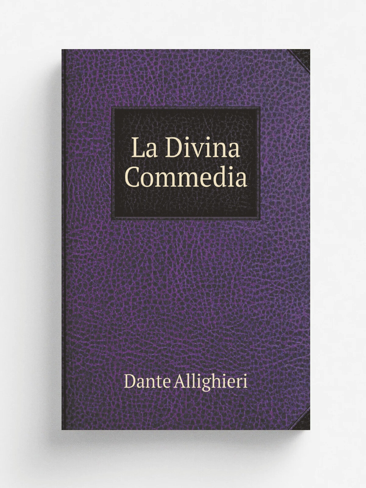 La Divina Commedia