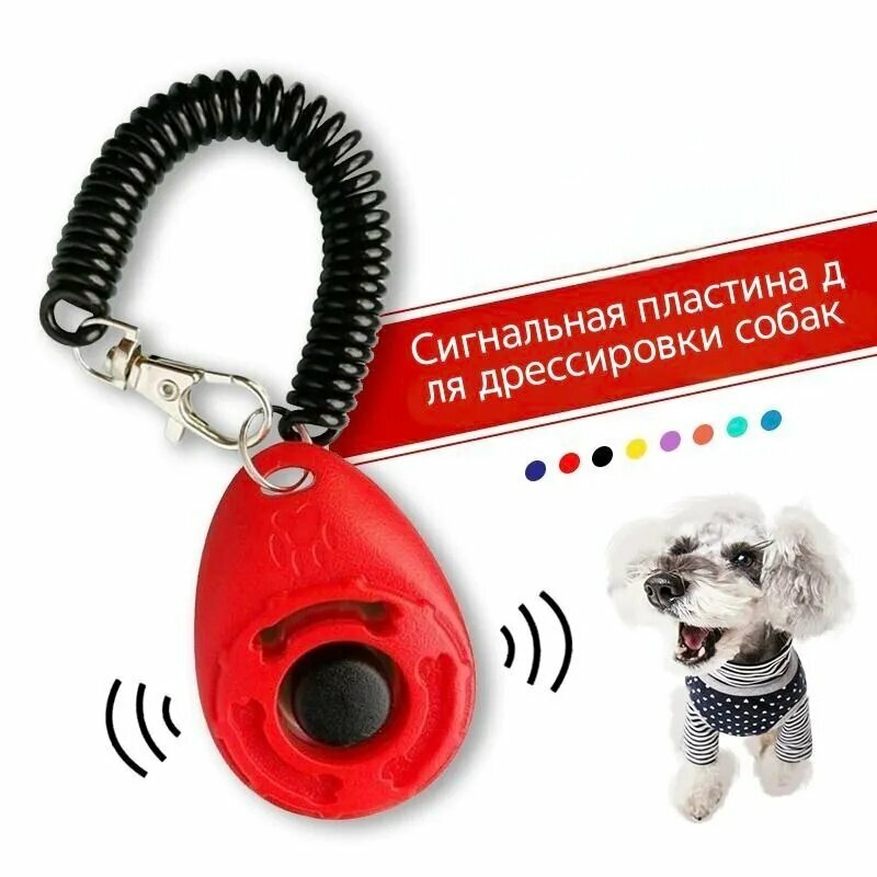 Кликер