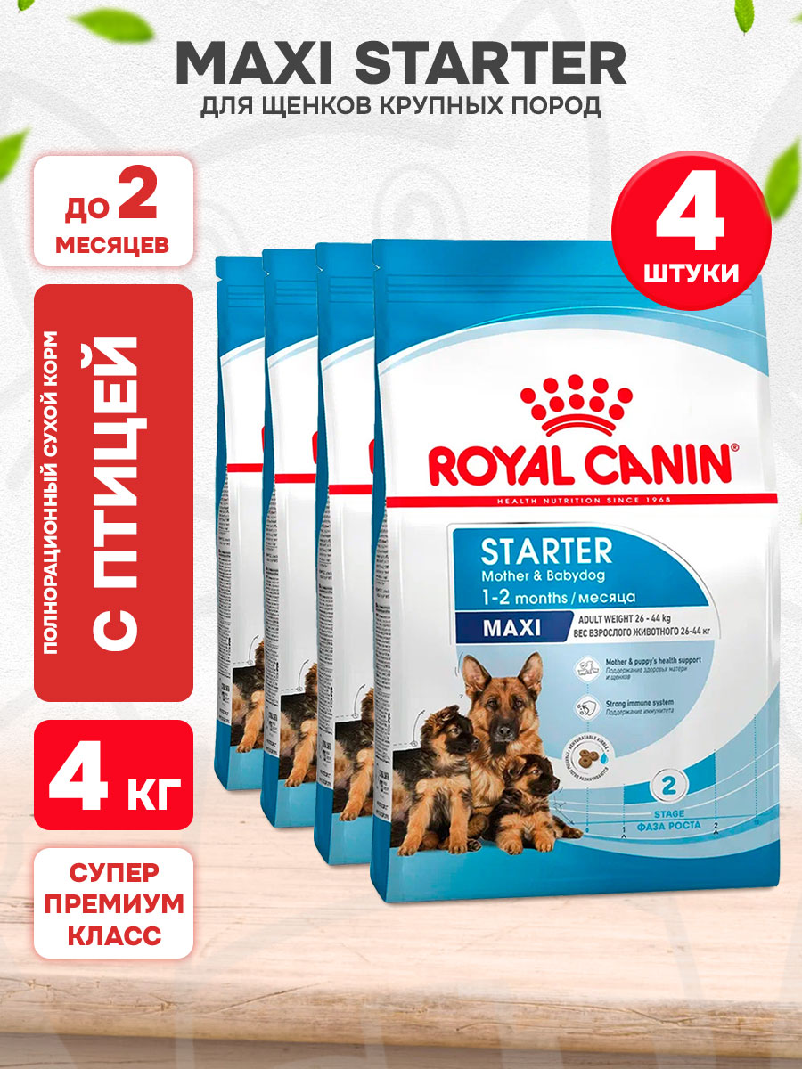 Корм сухой Royal Canin Maxi Starter для щенков крупных пород до 2 месяцев, беременных и кормящих собак, 4 кг х 4 шт