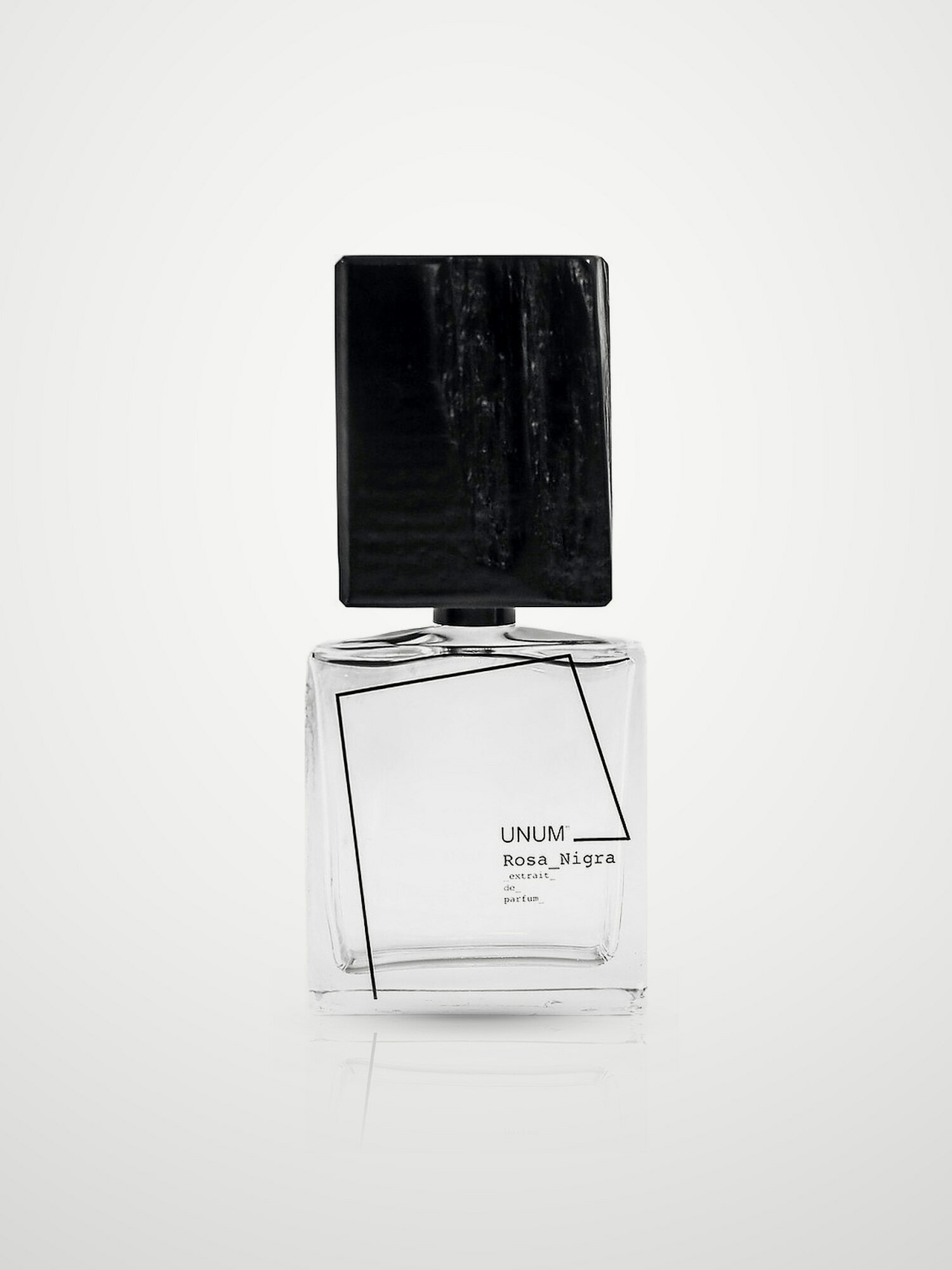 Парфюмерная вода Filippo Sorcinelli Rosa Nigra Eau de Parfum унисекс 100 мл