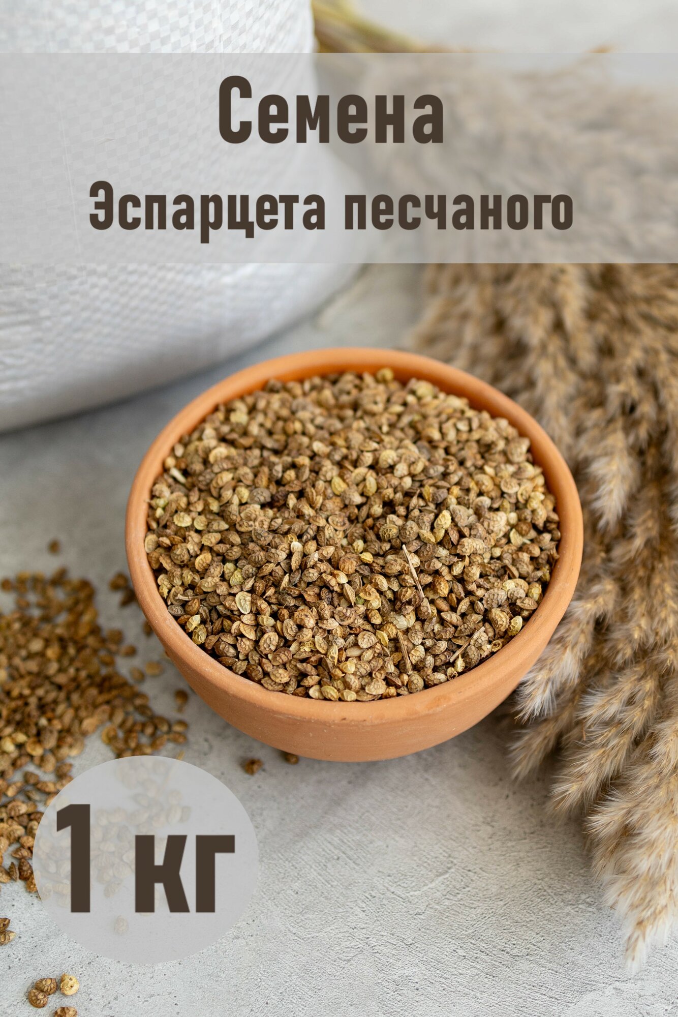 Эспарцет песчаный «Русич» — семена урожая 2025 года, 2-ой репродукции, 1 кг