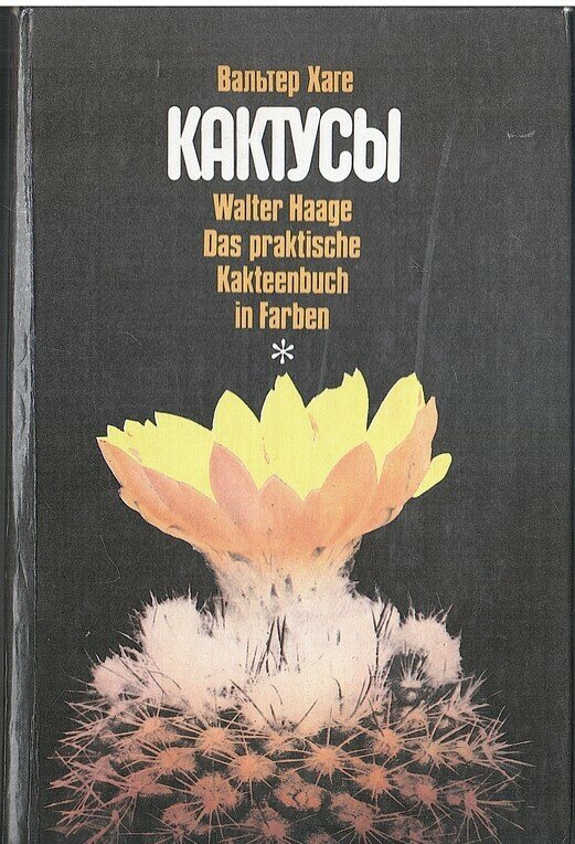 Кактусы 1992