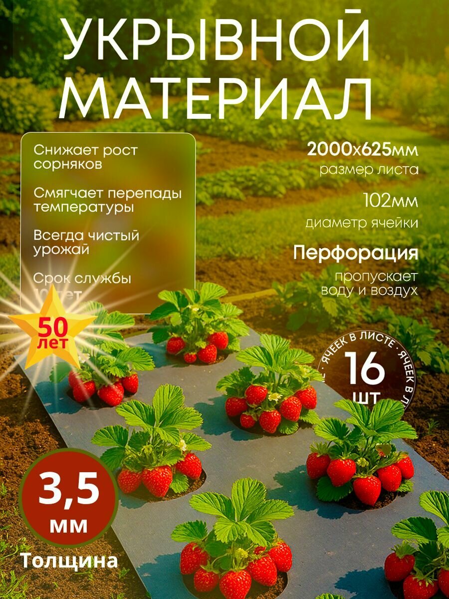 Укрывной материал от сорняков 2000х625 мм, Спанбонд, Геотекстиль садовый для дорожек, Агроткань от сорняков