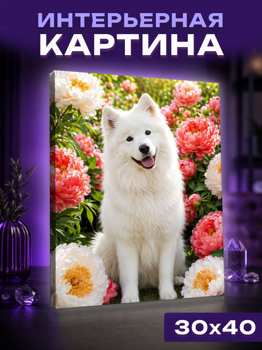 Интерьерная картина Белоснежный самоед в розовых пионах