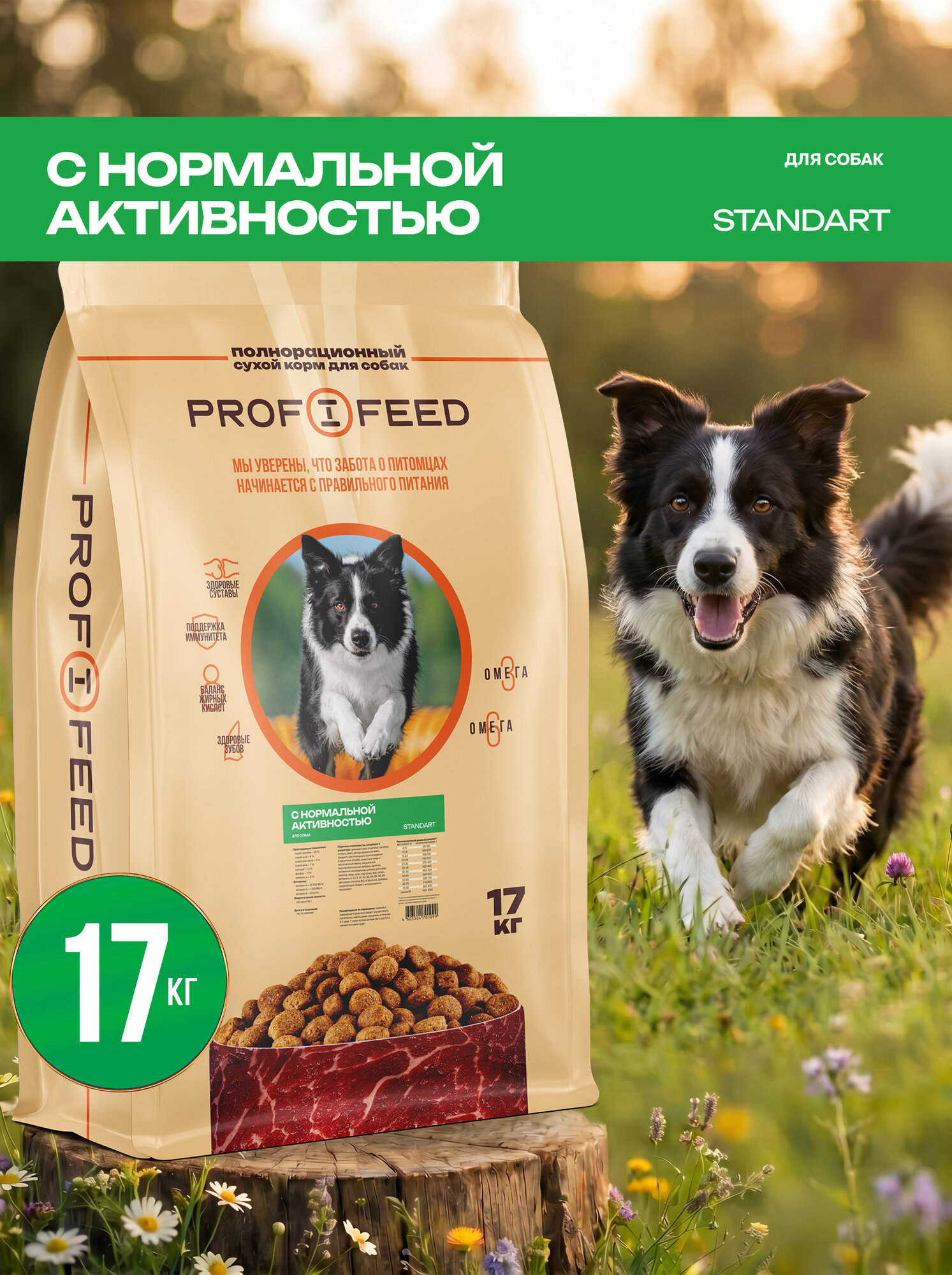 Корм сухой "Profifeed" для собак с нормальной активностью 17кг