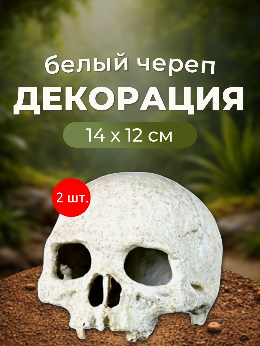 Декорация 2 шт. Nomoy Pet "Череп (белый)" 14х12 см. Номой Пет