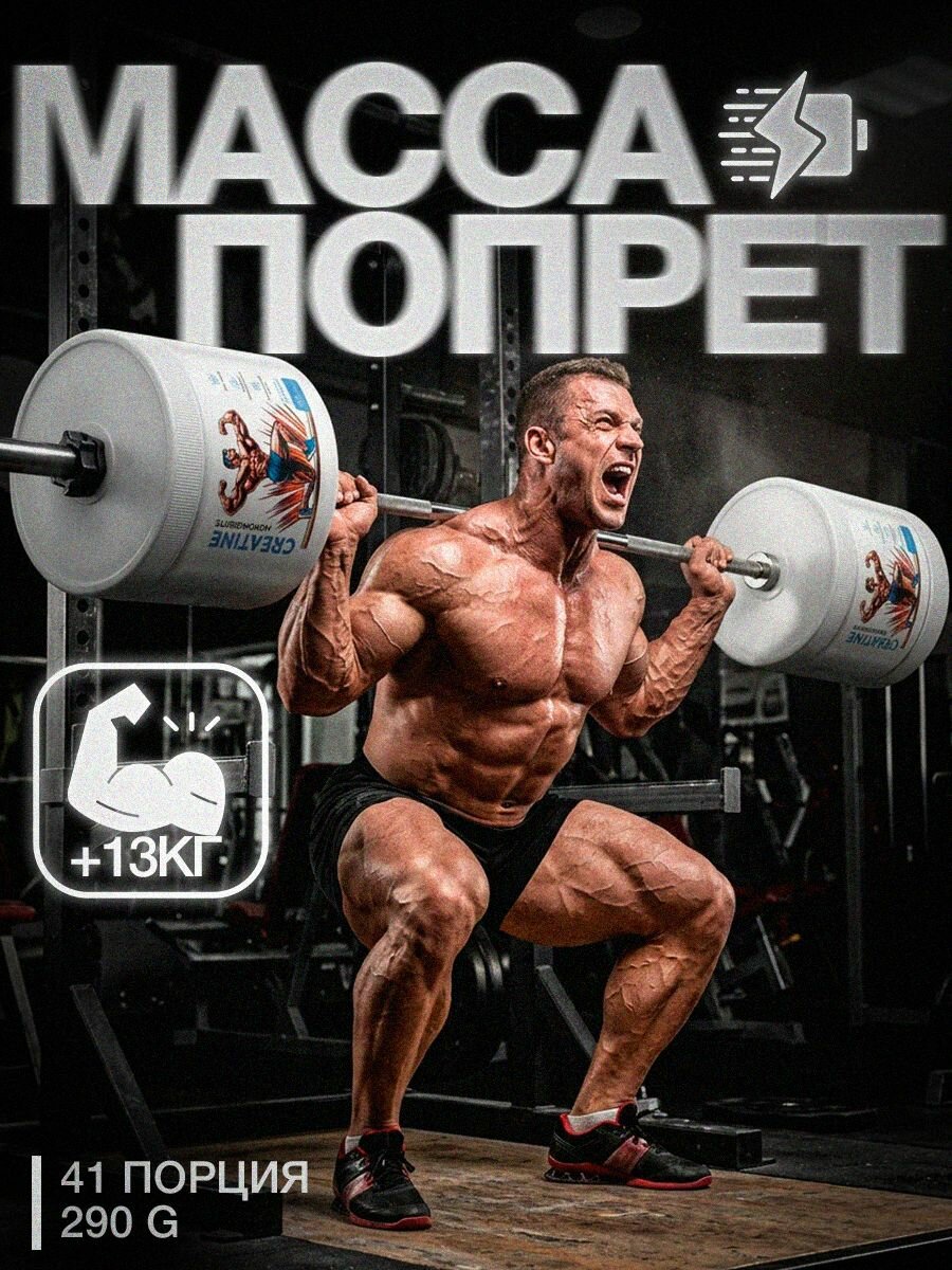 CREATINE MONOHIDRATE / Креатин моногидрат, протеин для набора мышечной массы, креатин, гейнер для набора мышечной массы / 290 г протеин гейнер для набора массы