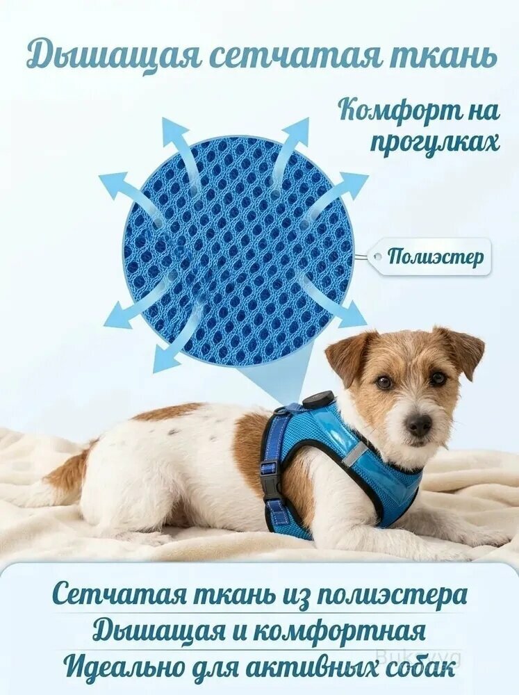 Светящаяся шлейка для собак с USB-подсветкой безопасность питомца на вечерних прогулках в темноте