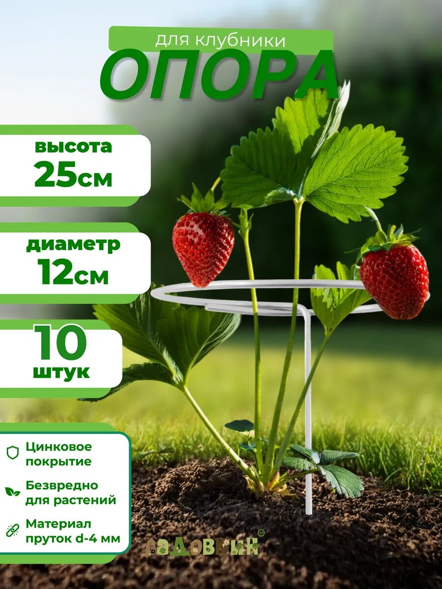 Опора для клубники, оцинкованная d-0,12м, h-0,25м (10шт)