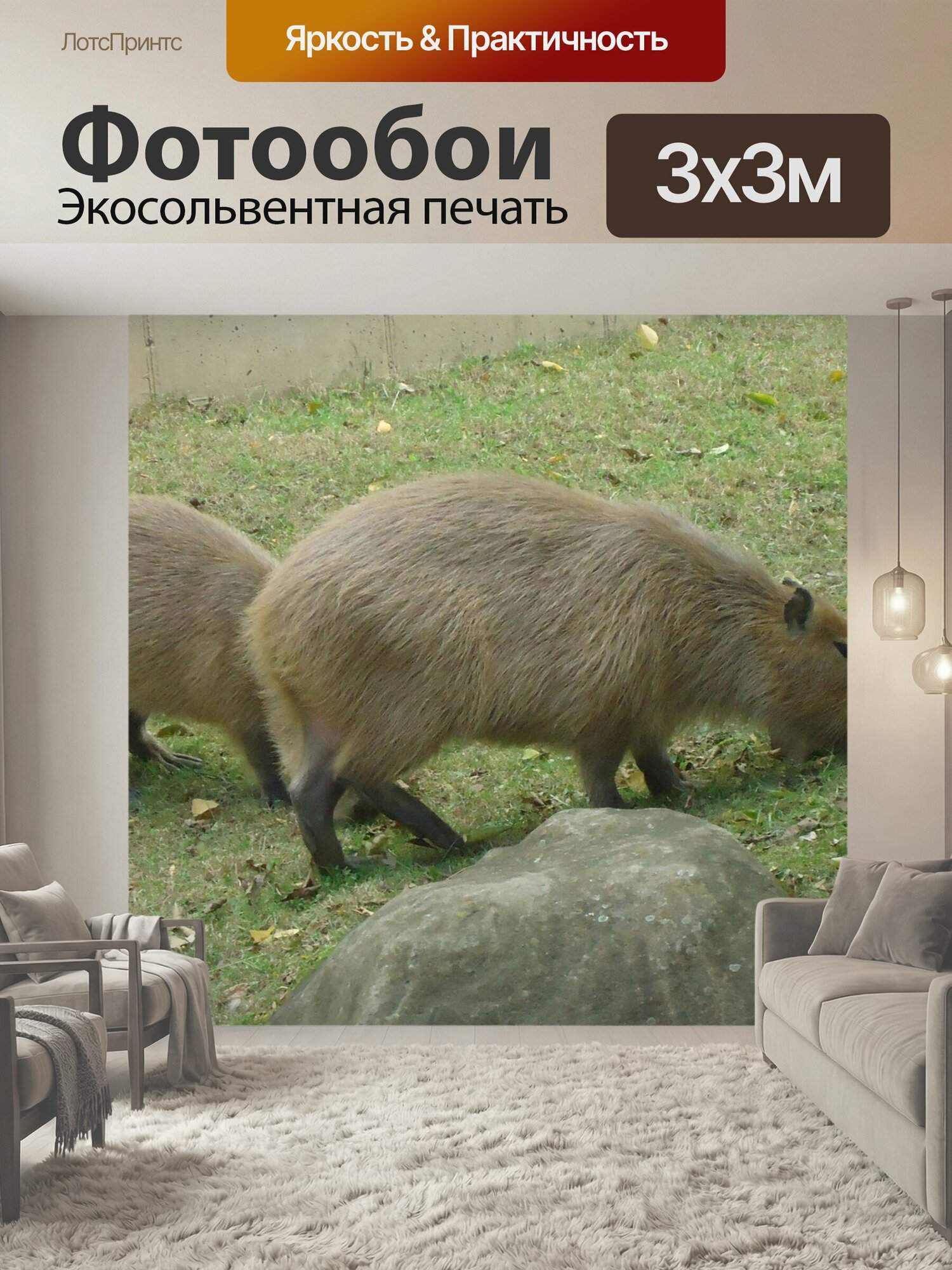 Фотообои "Capybara Capybara кормления на траве животных грызунов млекопитающих капибара" 300x300 см. экосольвентная печать