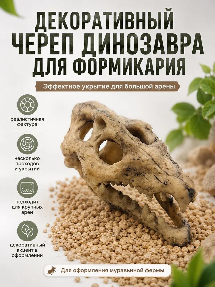 ExoNest Декор для муравьиной фермы Окаменелость динозавра, фигурка для формикария