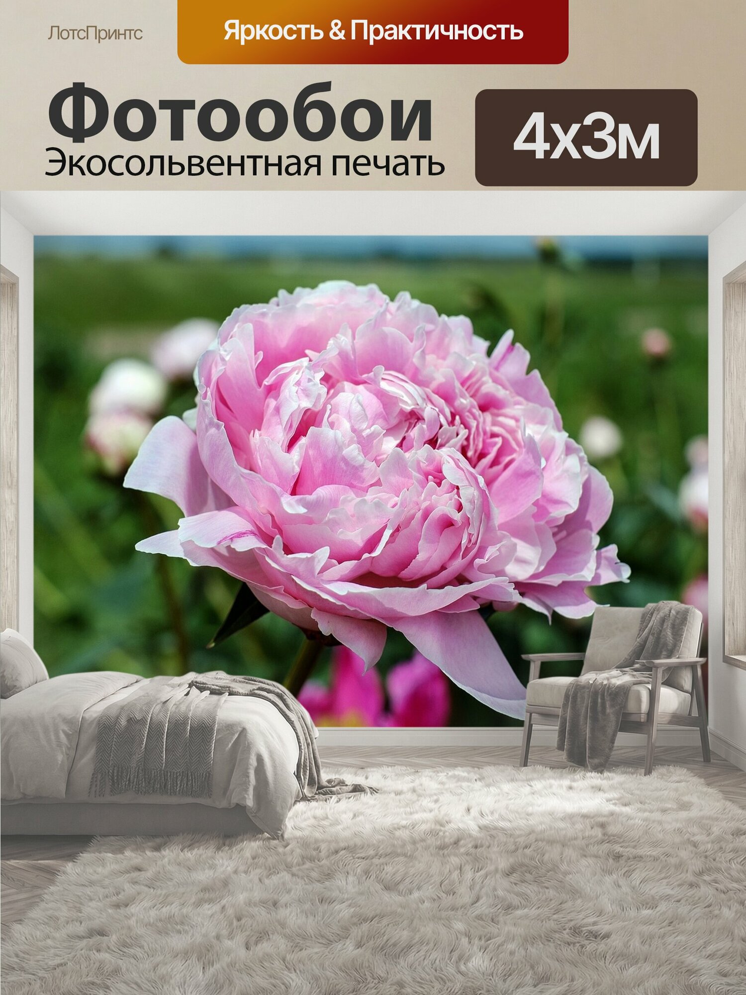 Фотообои "Пион, цветок, цвести" 400x300 см. экосольвентная печать