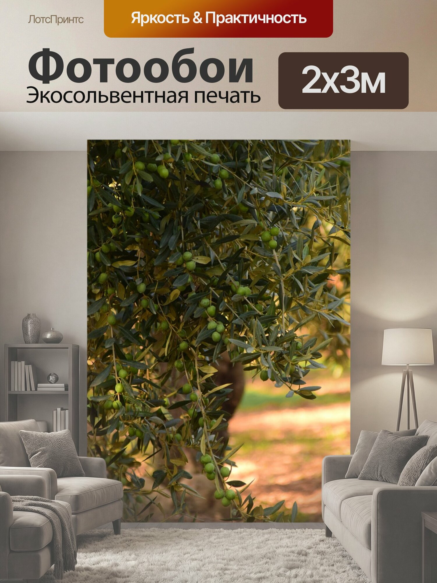 Фотообои "Оливки, оливковое дерево, природа" 200x300 см. экосольвентная печать