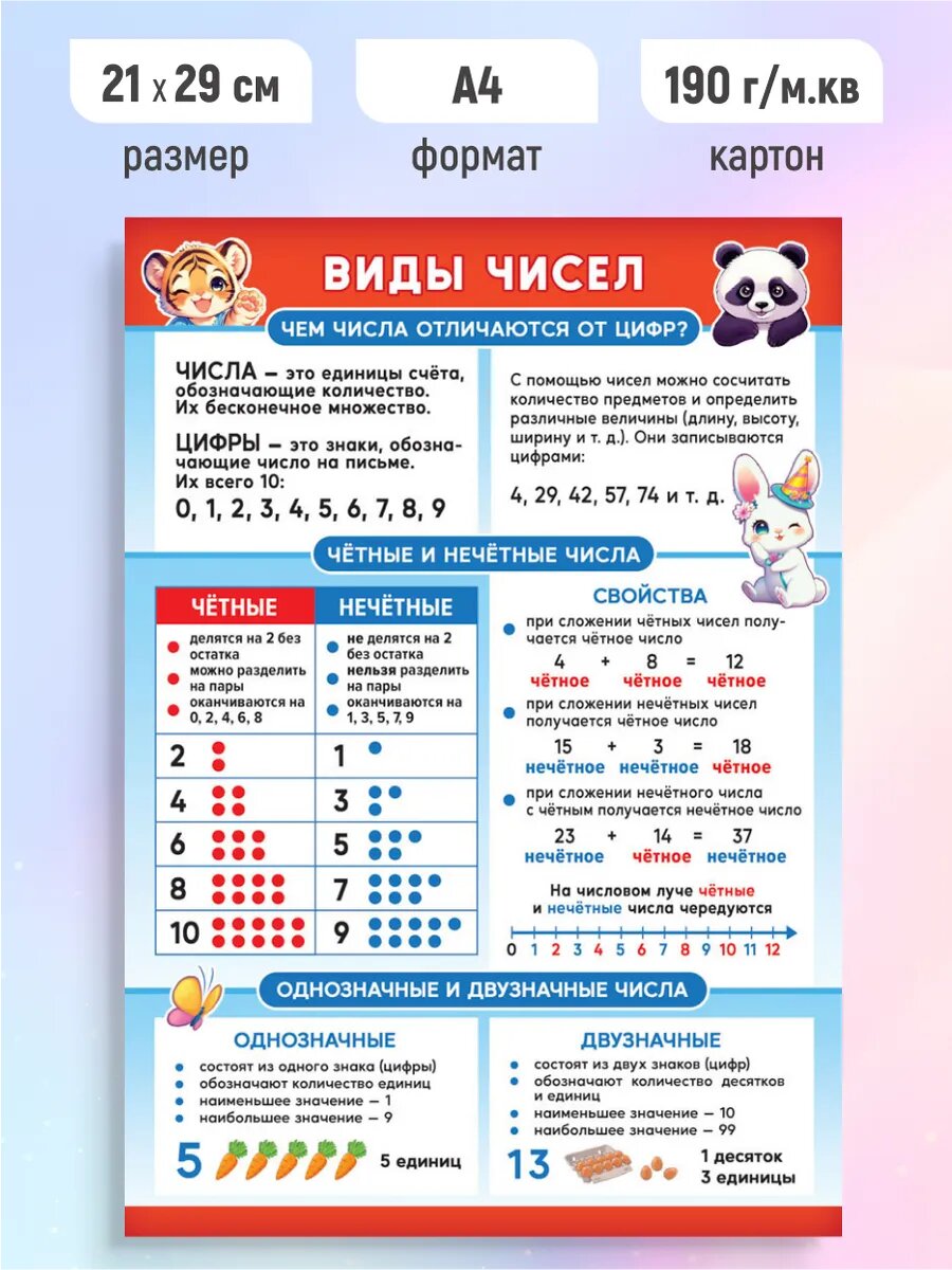 Детский обучающий плакат Виды чисел А4