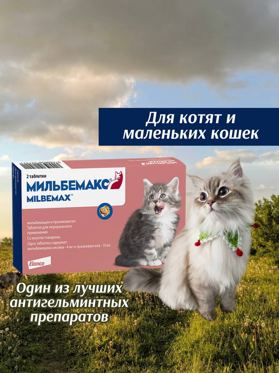 Мильбемакс таблетки для котят и небольших кошек, уп. 2 таб.
