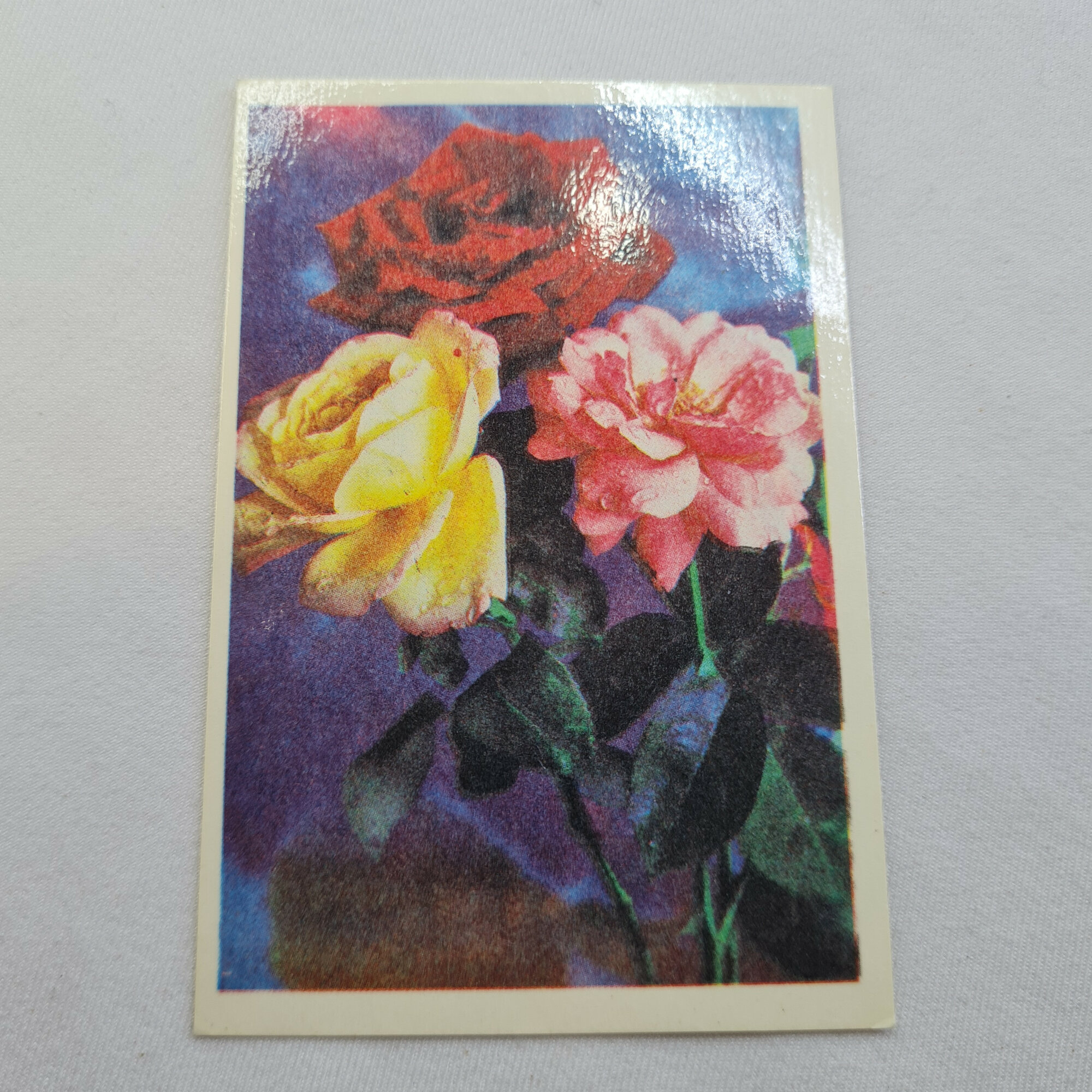 Карманный календарик СССР 1986. Розы, цветы на синем фоне. Советский календарь коллекционный