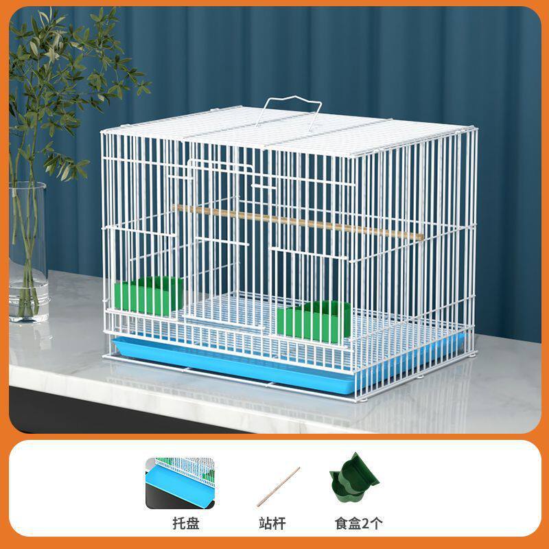 Компактная птичья клетка 40x30x30 см белого цвета для канареек и маленьких птиц с базовым комплектом