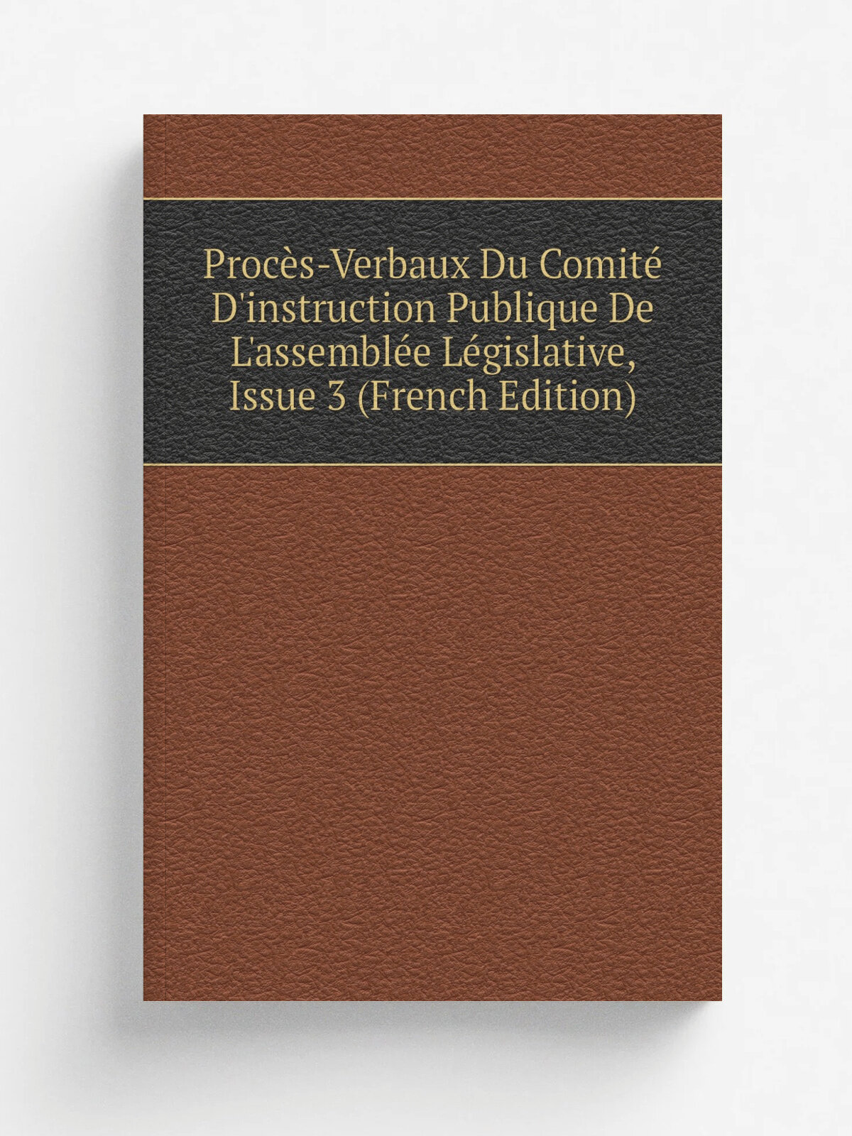 Proc. s-Verbaux Du Comit. D'instruction Publique De L'assembl. e L.gislative, Issue 3 (French Edition) | Репринт